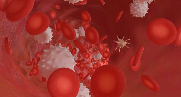 3D bloodstream blood stream - TurboSquid 1319133