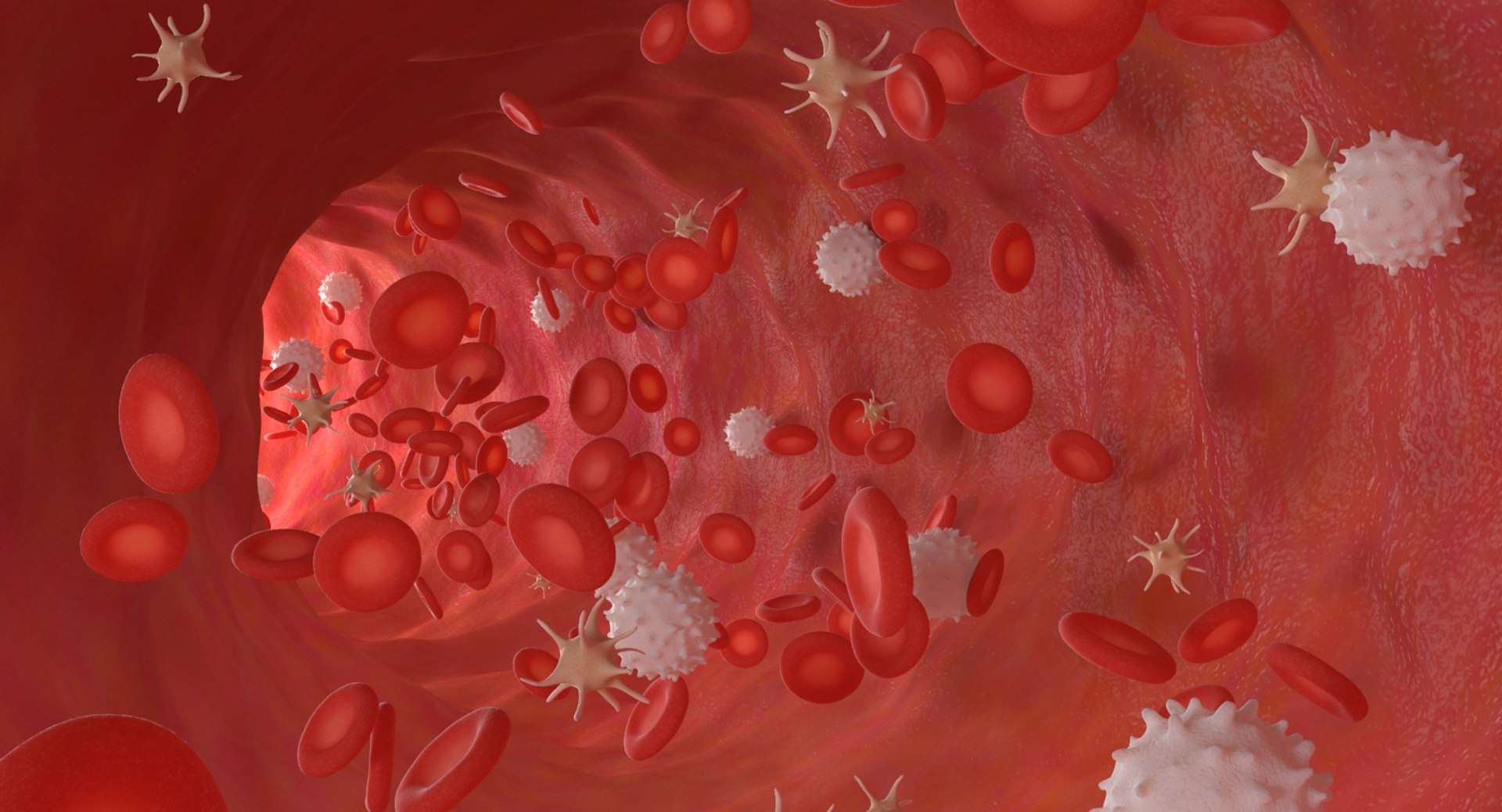 3D Bloodstream Blood Stream - TurboSquid 1319133