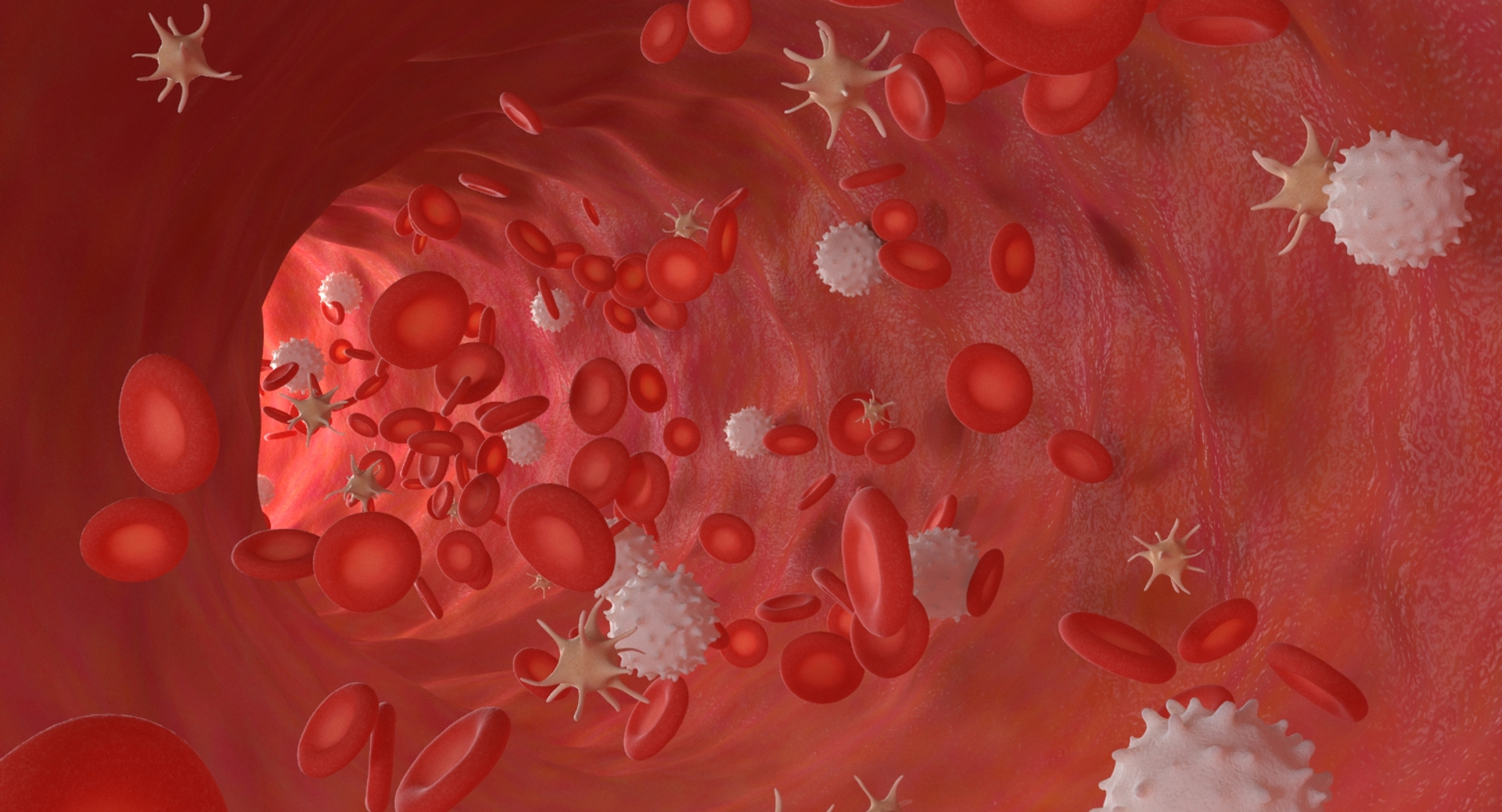 3D bloodstream blood stream - TurboSquid 1319133