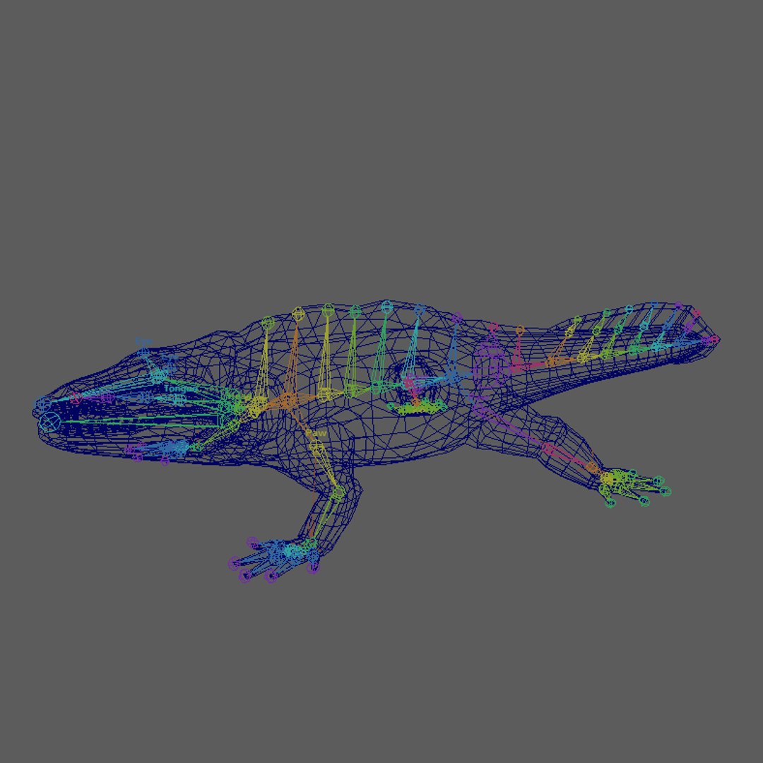 3d Ichthyostega Devon Model