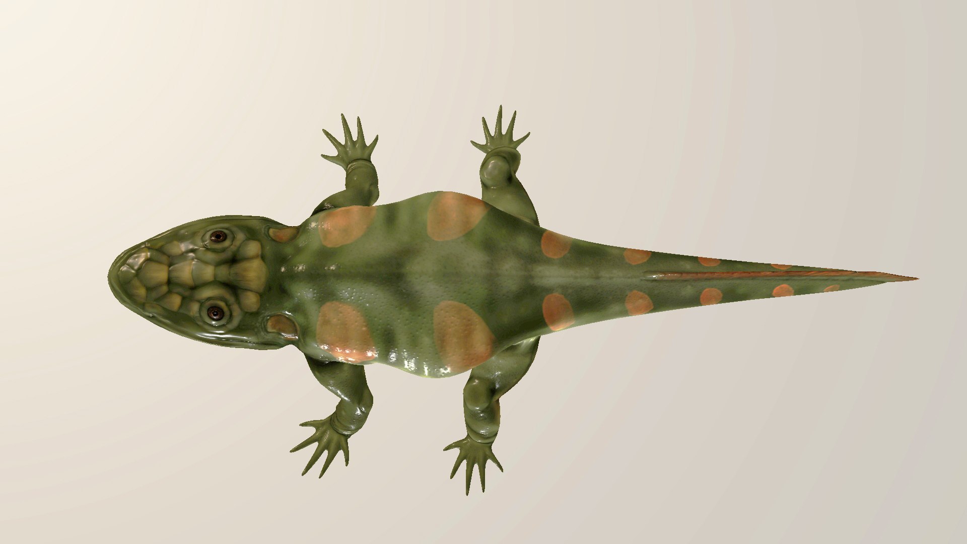 3d Ichthyostega Devon Model