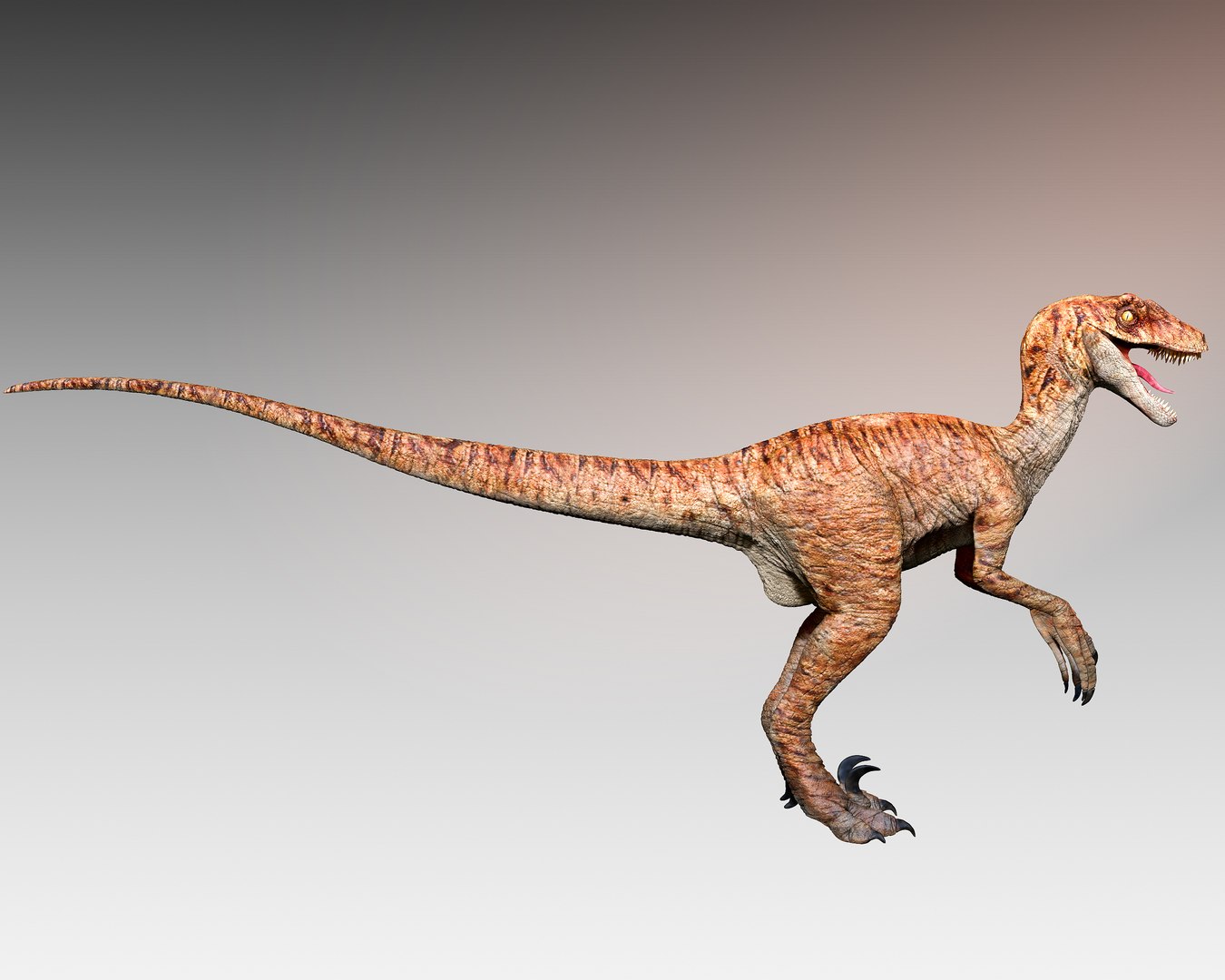 3d Model Of Raptor Dinosaur Zbrush Version