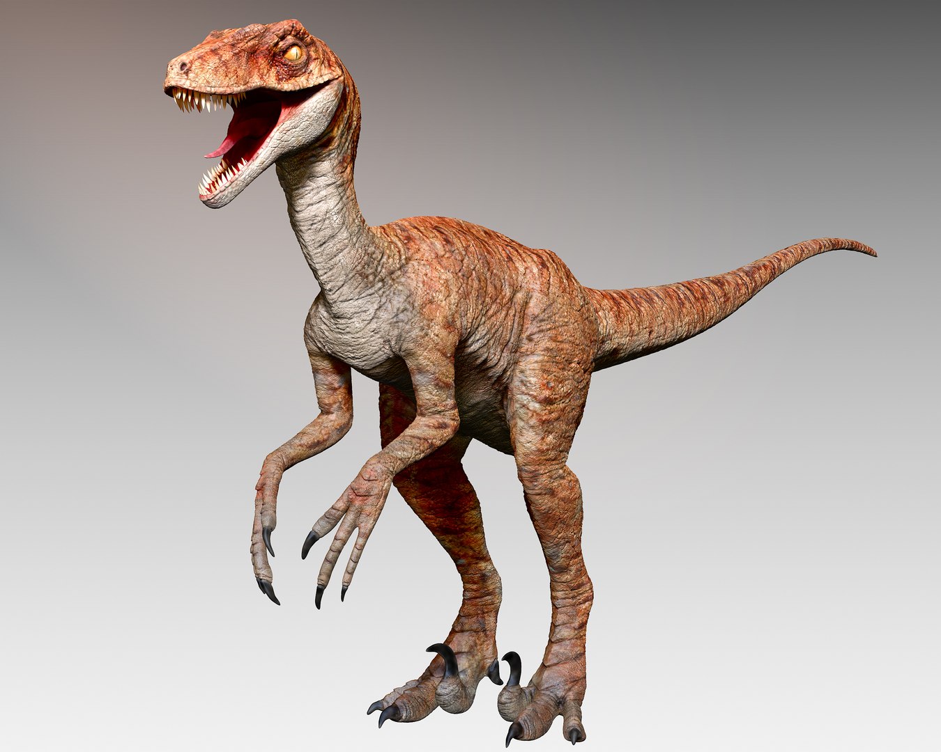 3d Model Of Raptor Dinosaur Zbrush Version