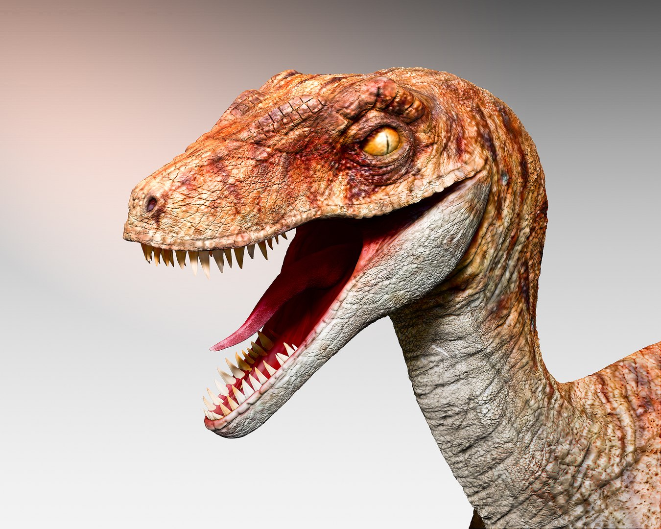 3d Model Of Raptor Dinosaur Zbrush Version