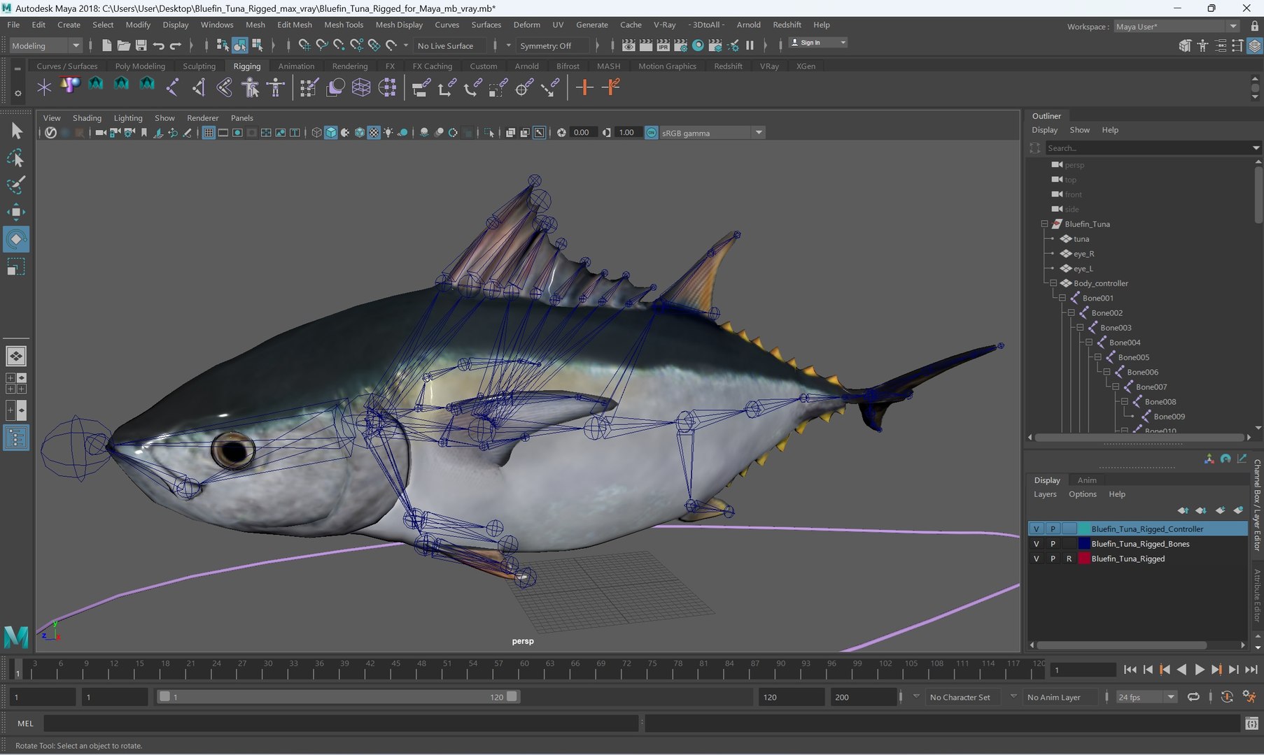 3D Bluefin Tuna Rigged For Maya - TurboSquid 2385641
