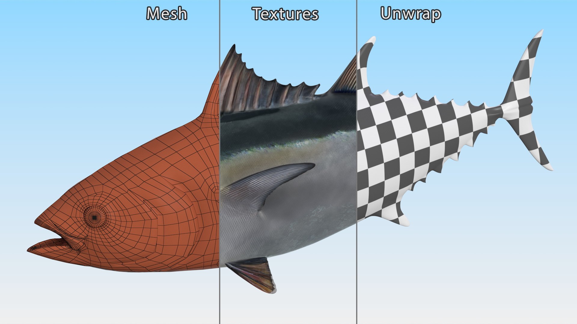 3D Bluefin Tuna Rigged For Maya - TurboSquid 2385641