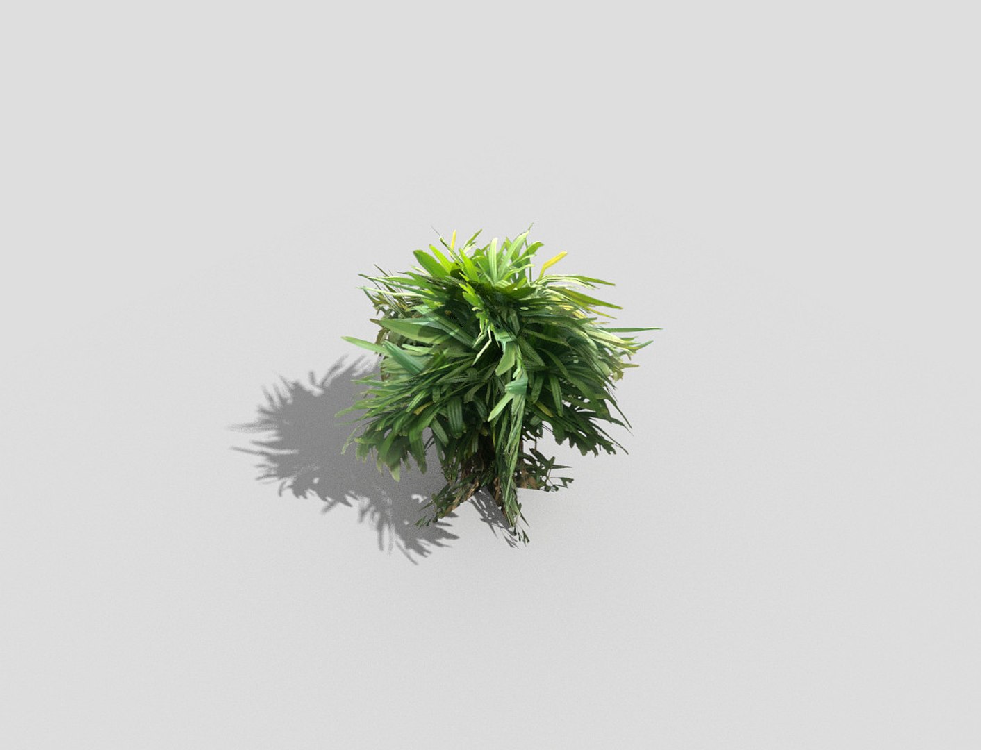 3d shrub model