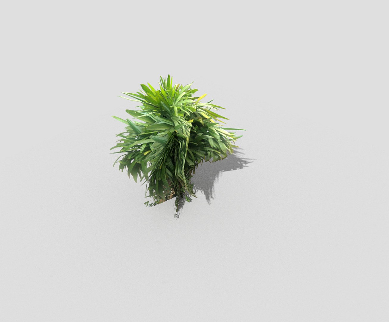 3d shrub model