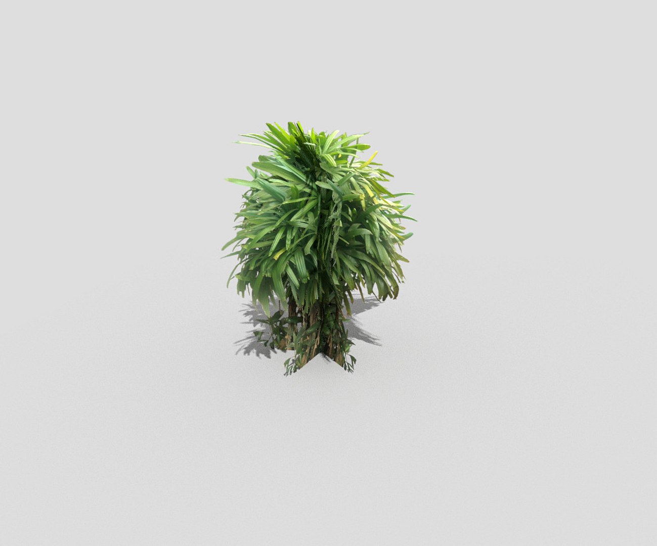 3d shrub model