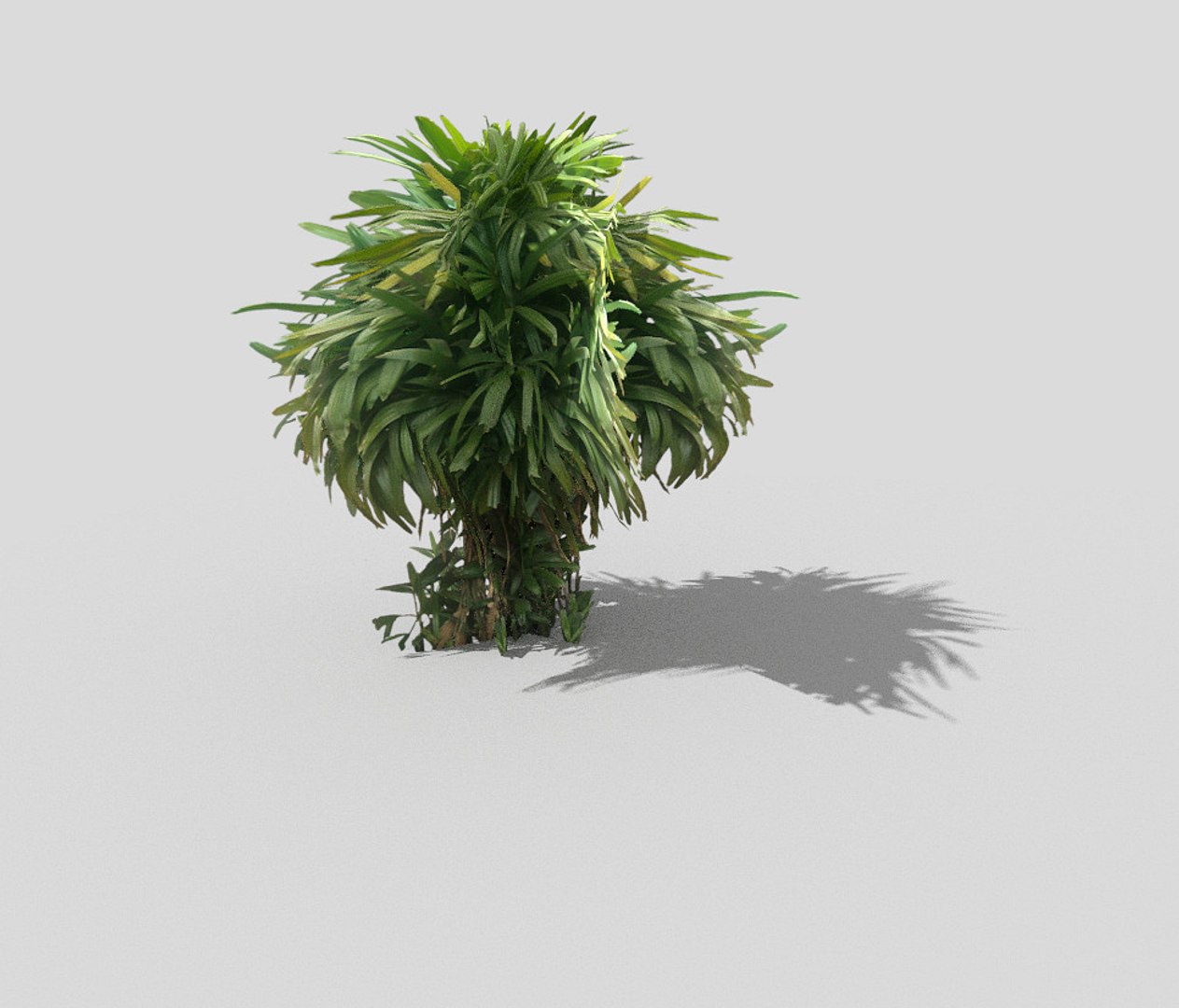 3d shrub model