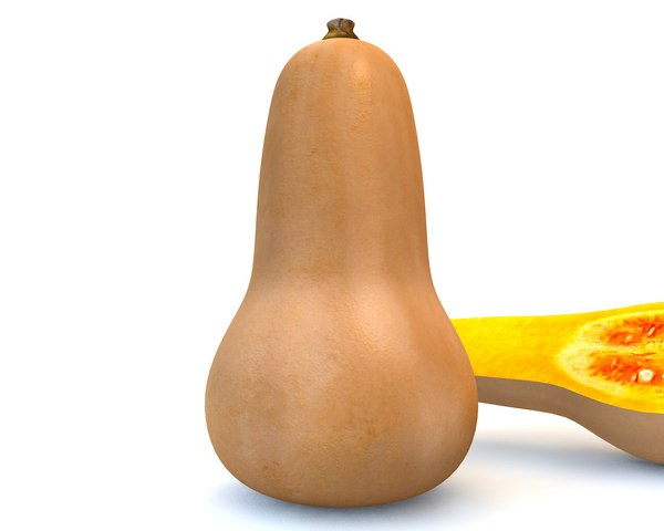 3D squash - TurboSquid 1544473