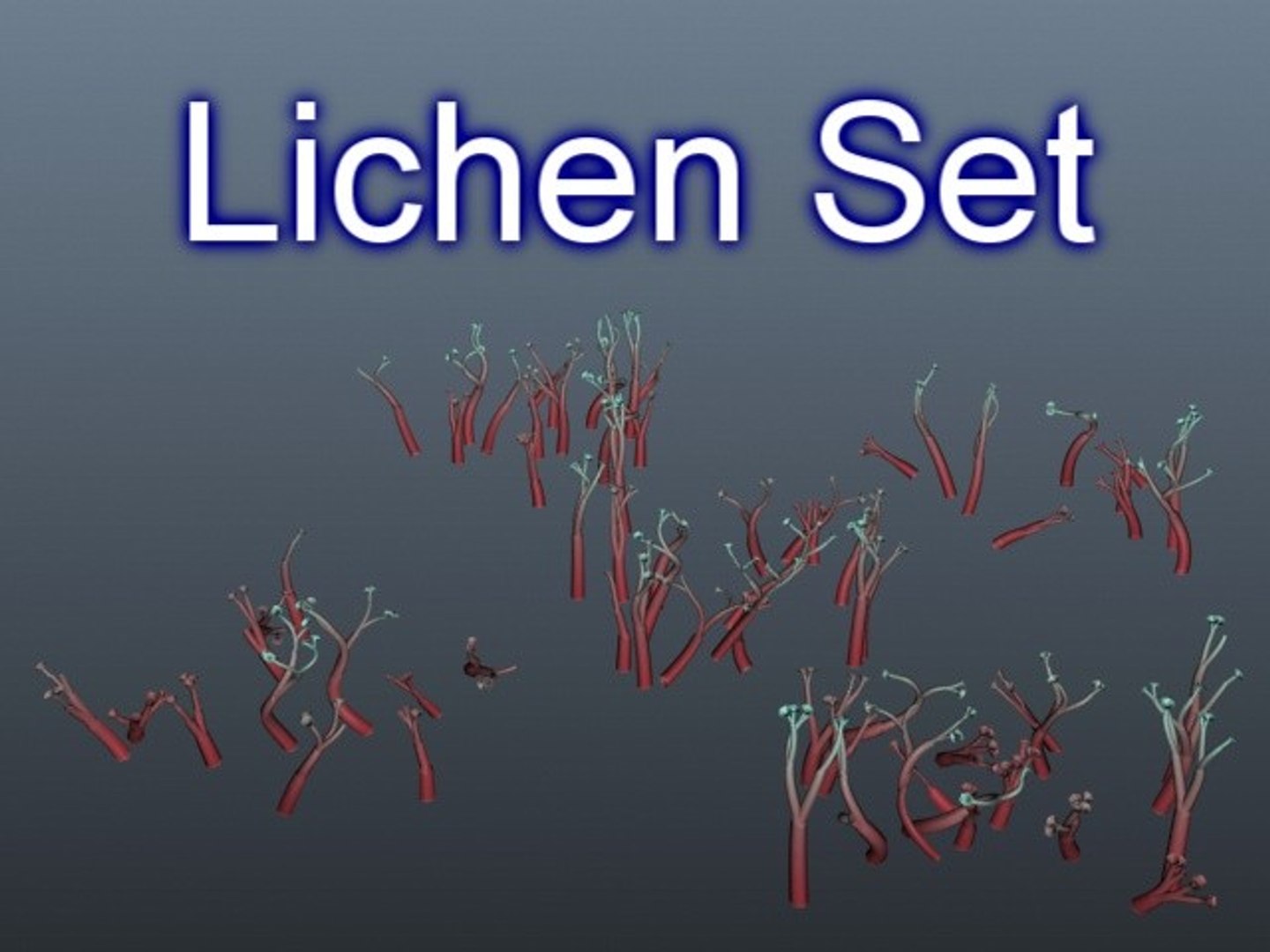 Set Lichen 3d 3ds
