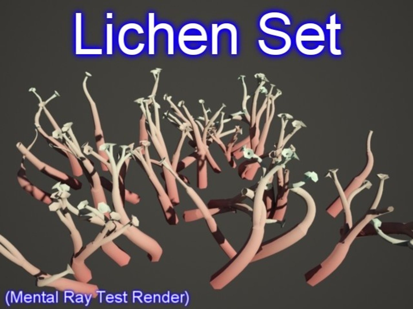 Set Lichen 3d 3ds