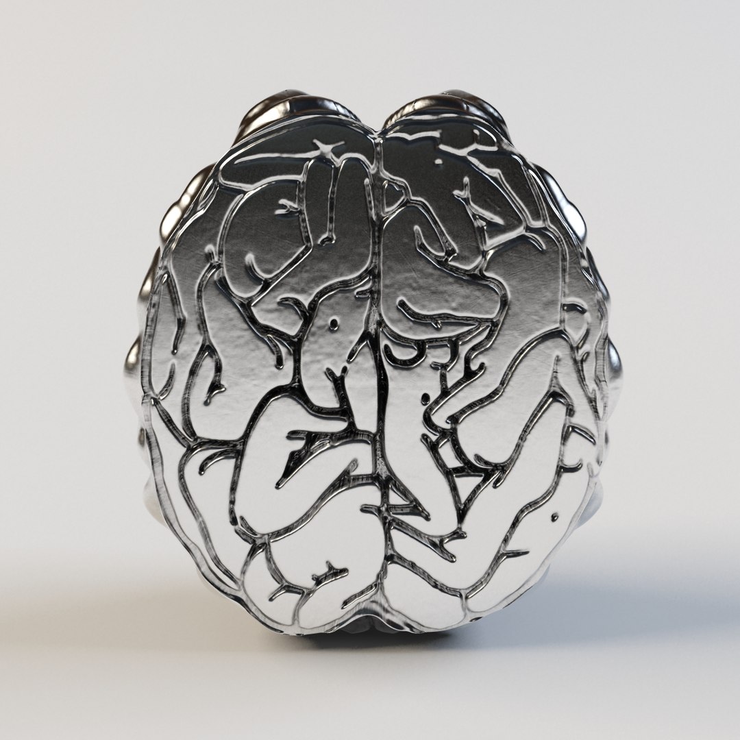 3d Brain