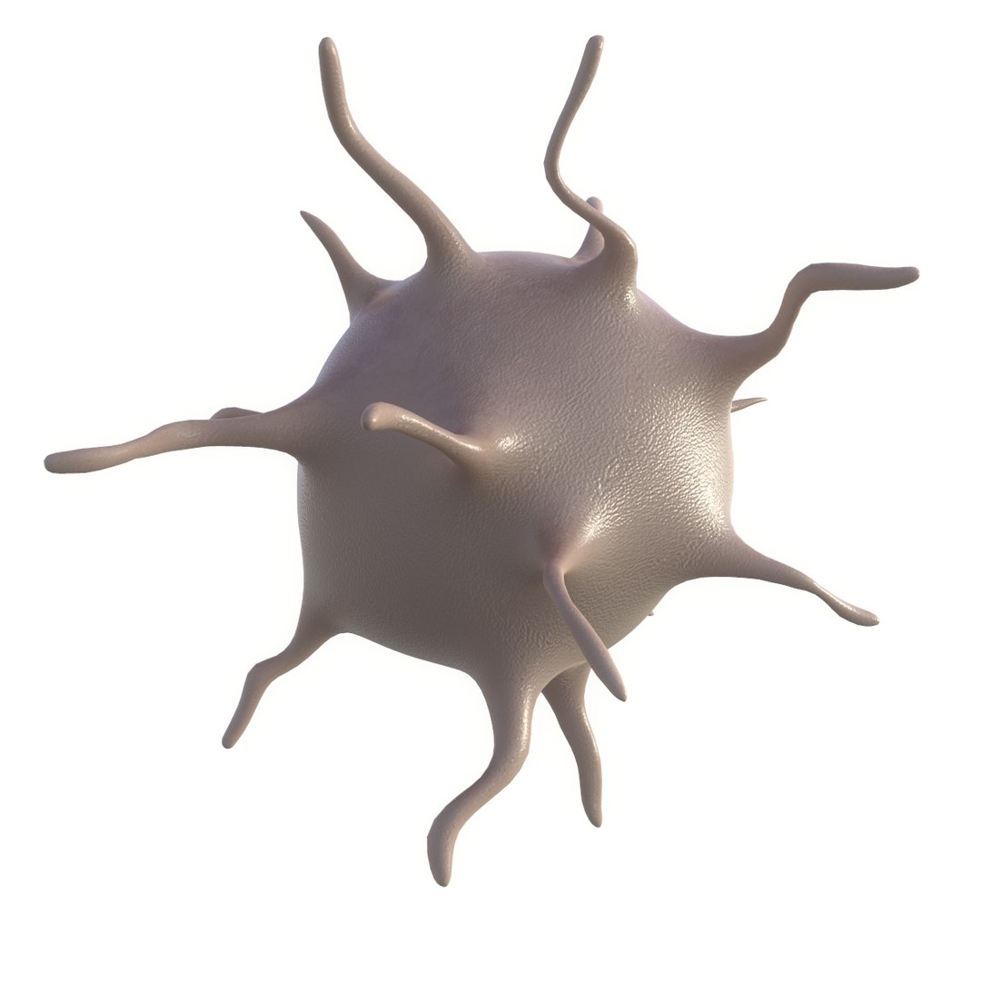 3D Platelet Thrombocyte - TurboSquid 1423832