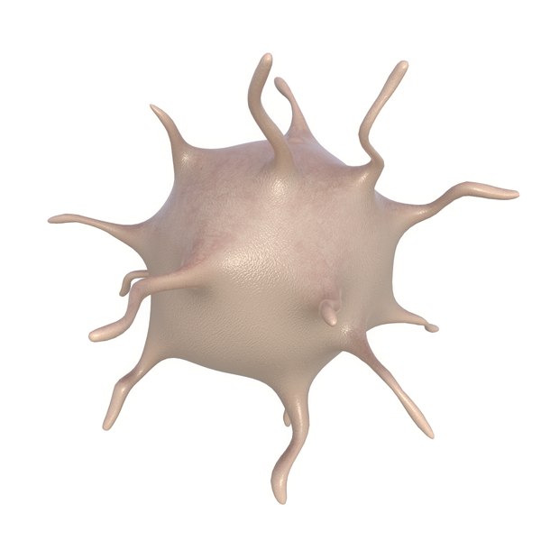 3D Platelets Models | TurboSquid