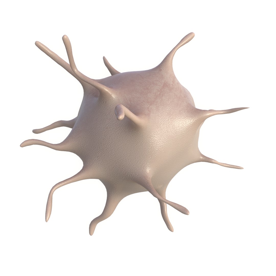 3D Platelet Thrombocyte - TurboSquid 1423832