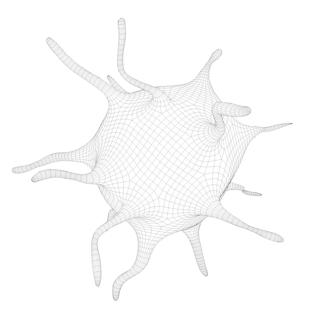 3D Platelet Thrombocyte - TurboSquid 1423832
