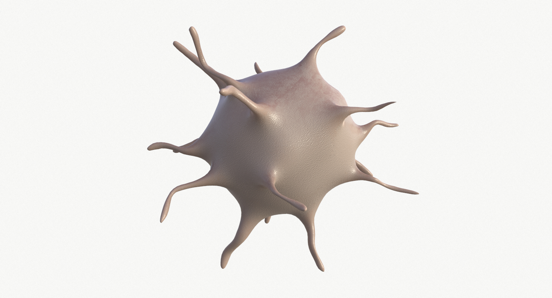 3D Platelet Thrombocyte - TurboSquid 1423832