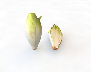 3D fennel model - TurboSquid 1544492