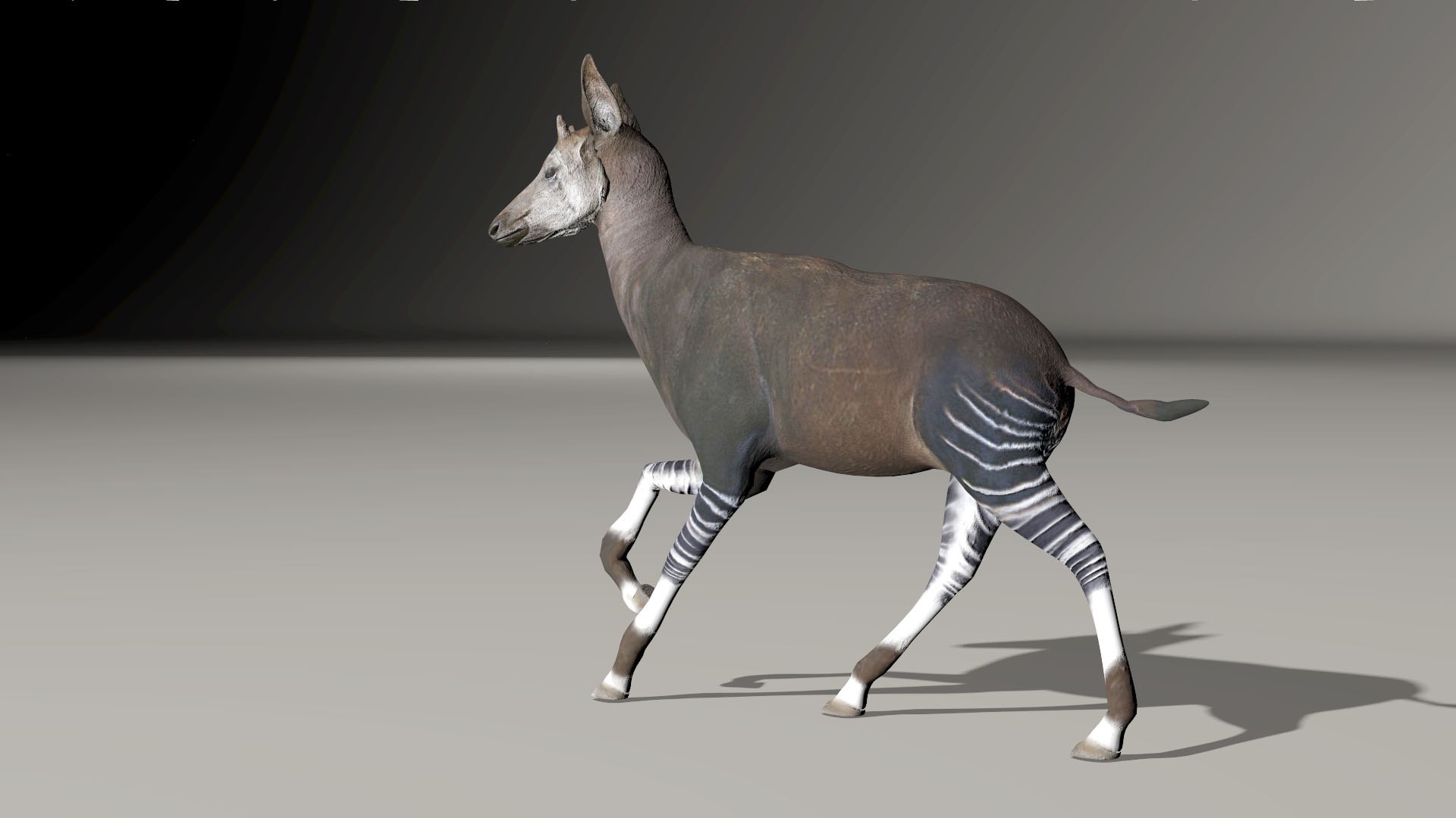 3D Okapi Poser Model - TurboSquid 1999035