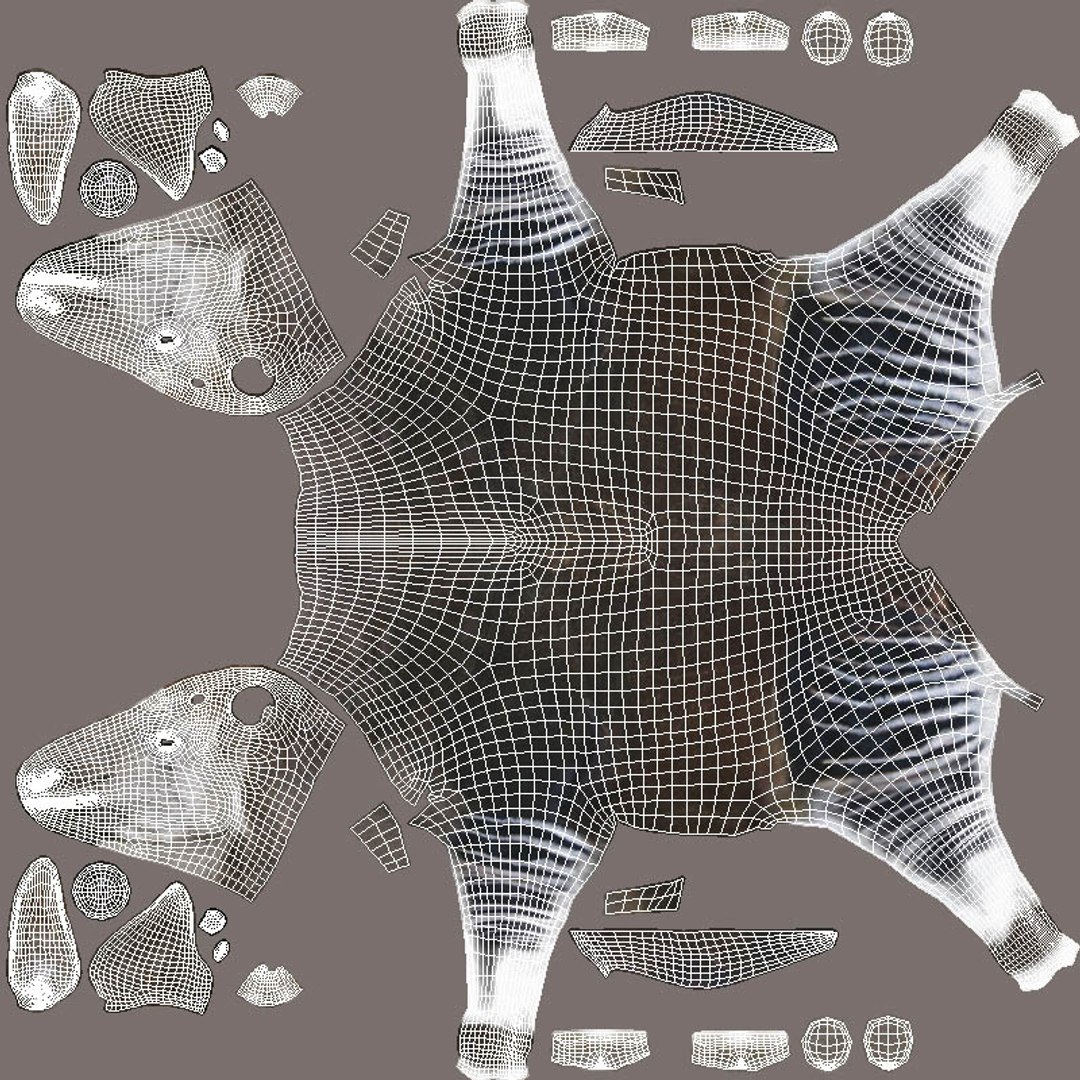 3D Okapi Poser Model - TurboSquid 1999035