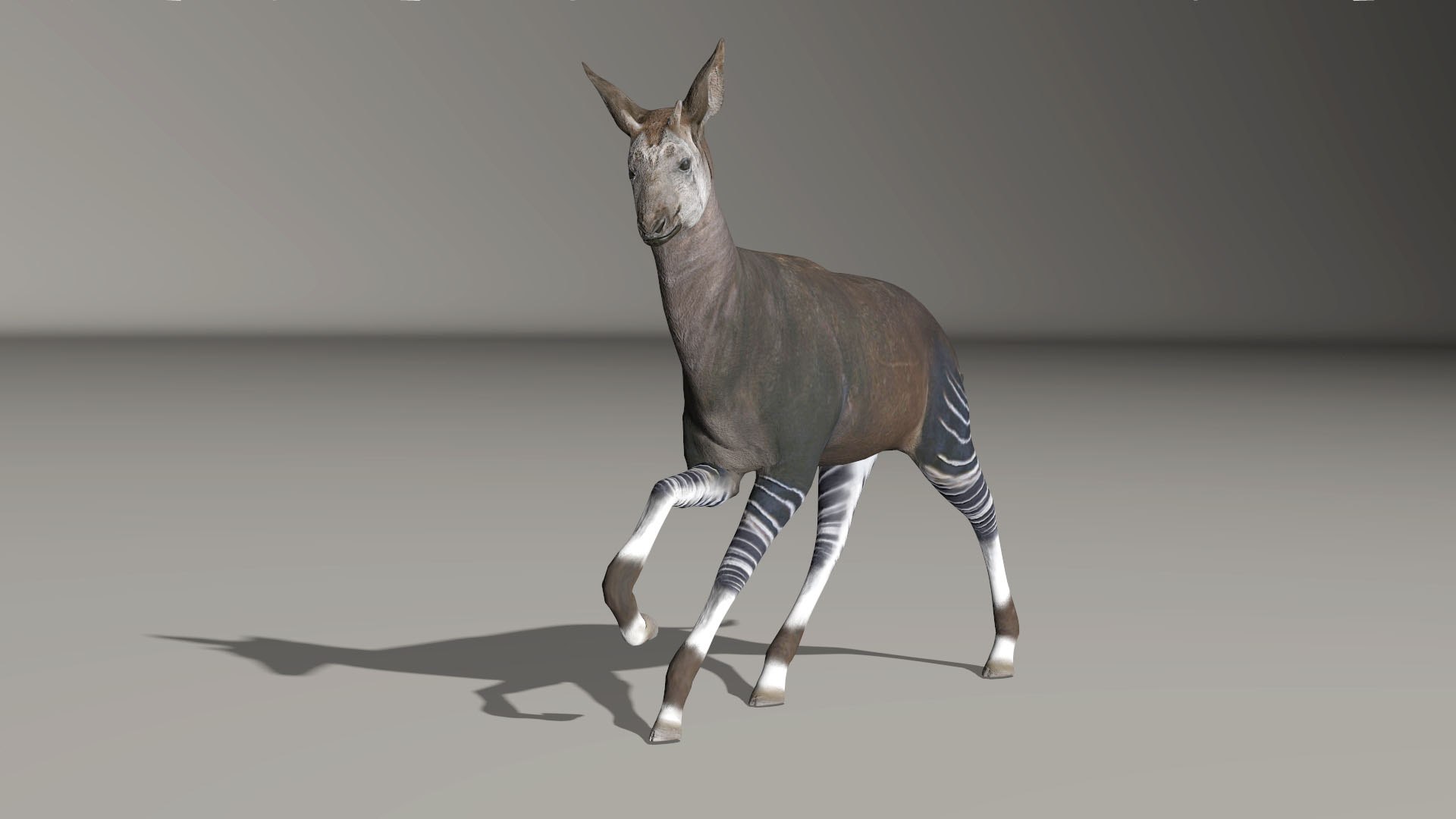 3D Okapi Poser Model - TurboSquid 1999035