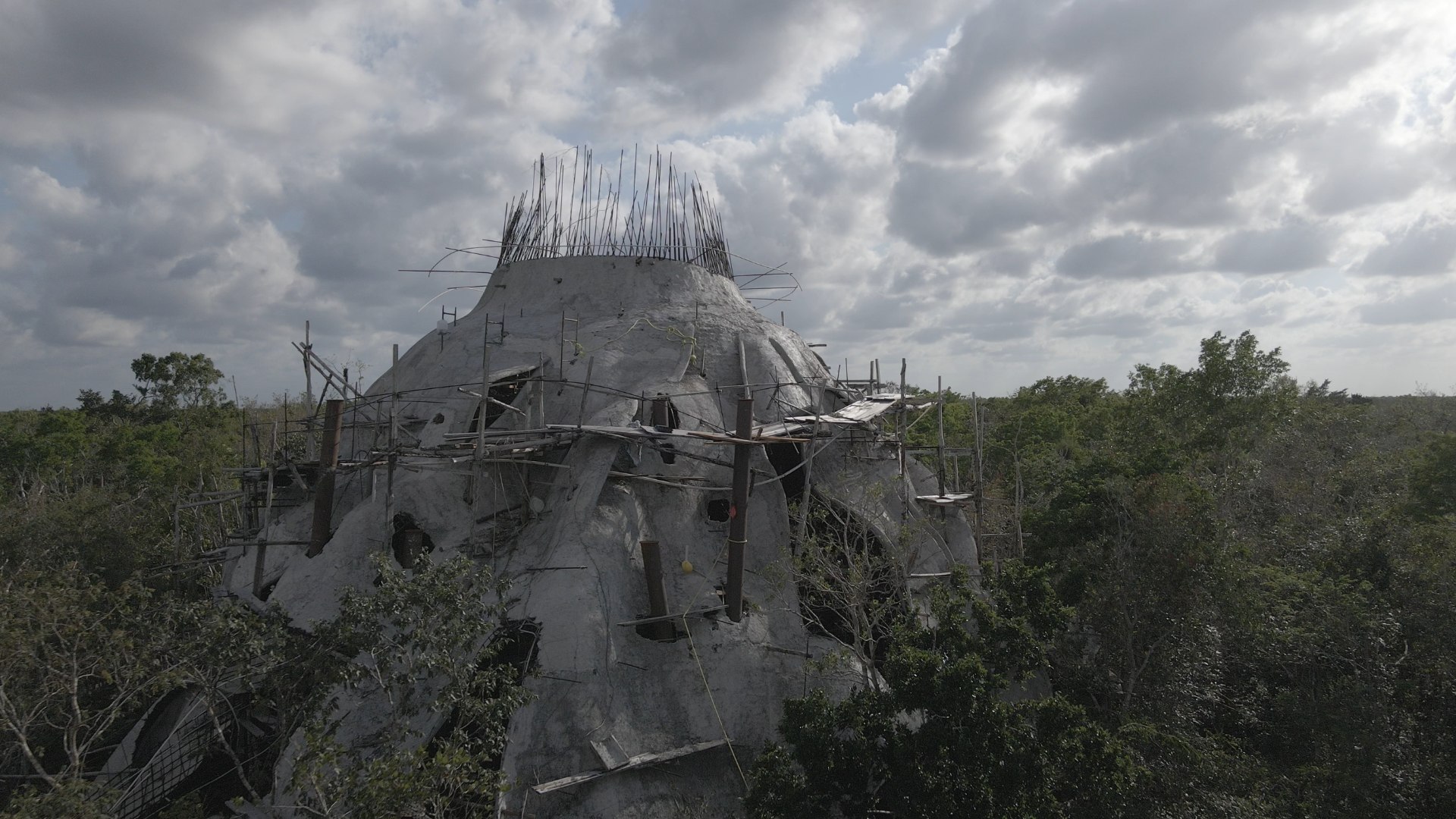 Revit BIM Rhinoceros 7 Model Organic Skyscraper 3D Model - TurboSquid ...