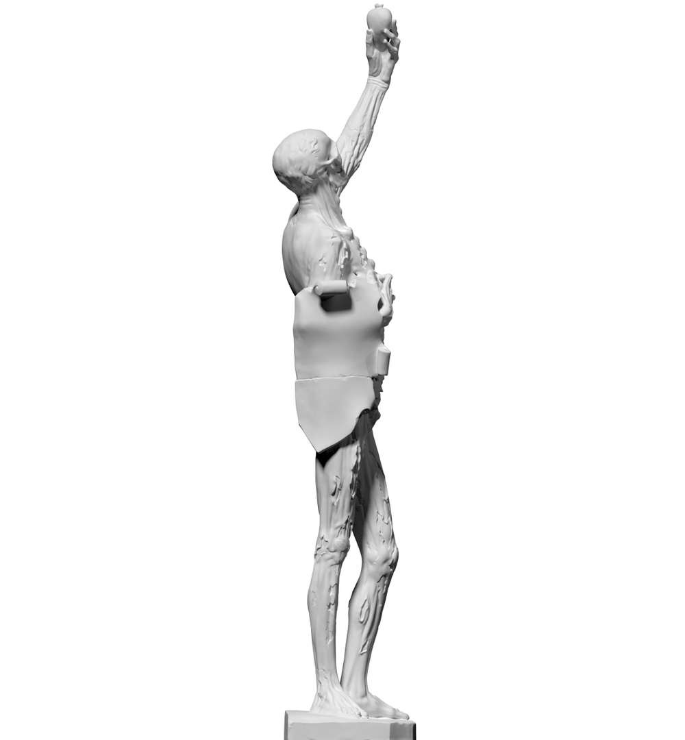 free obj mode scan ligier richier