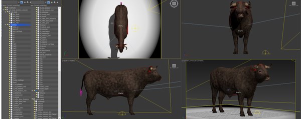 3D model Bull Body, Skeleton and Organs Static - TurboSquid 1724670