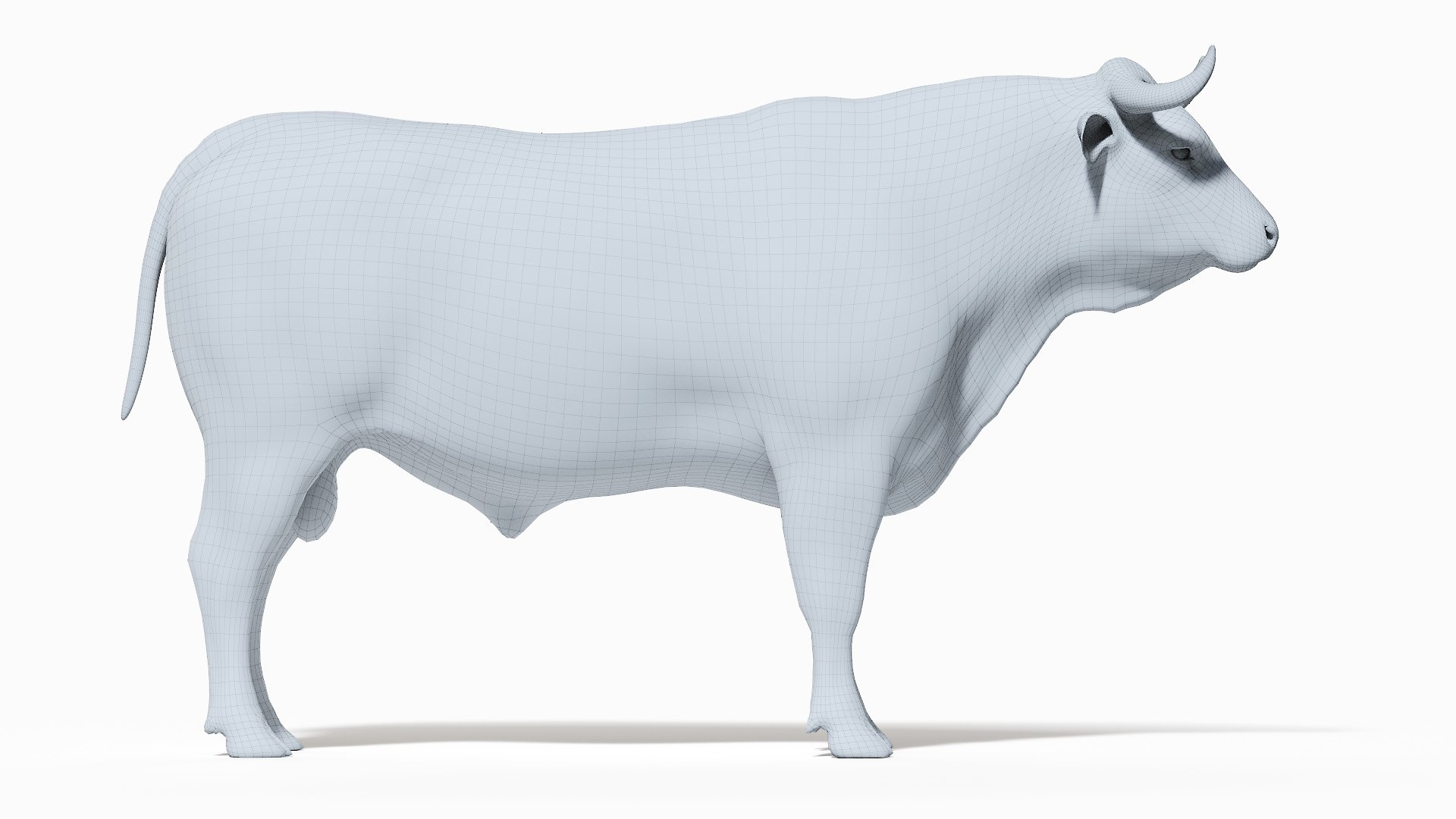 3D model Bull Body, Skeleton and Organs Static - TurboSquid 1724670