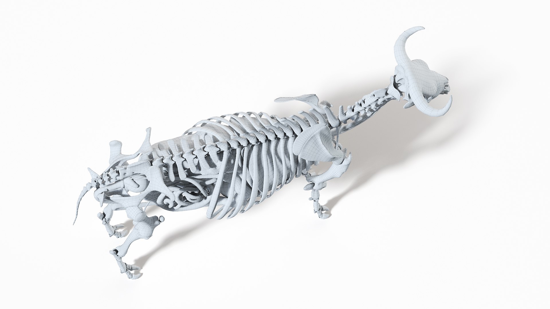 3D model Bull Body, Skeleton and Organs Static - TurboSquid 1724670