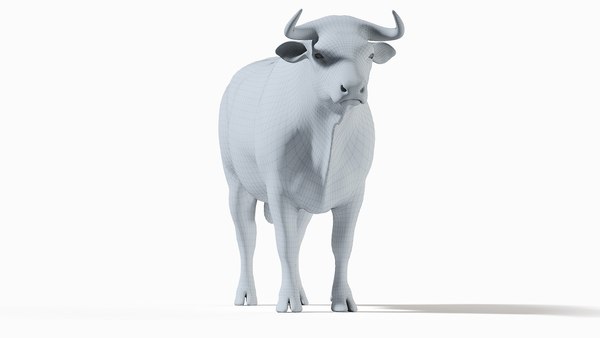 3D model Bull Body, Skeleton and Organs Static - TurboSquid 1724670