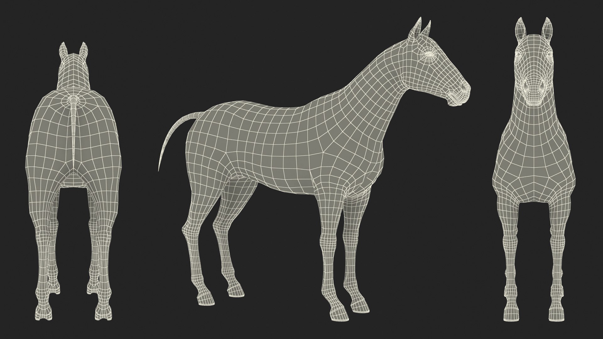 3D Horse Skeleton Rigged Model - TurboSquid 1583167