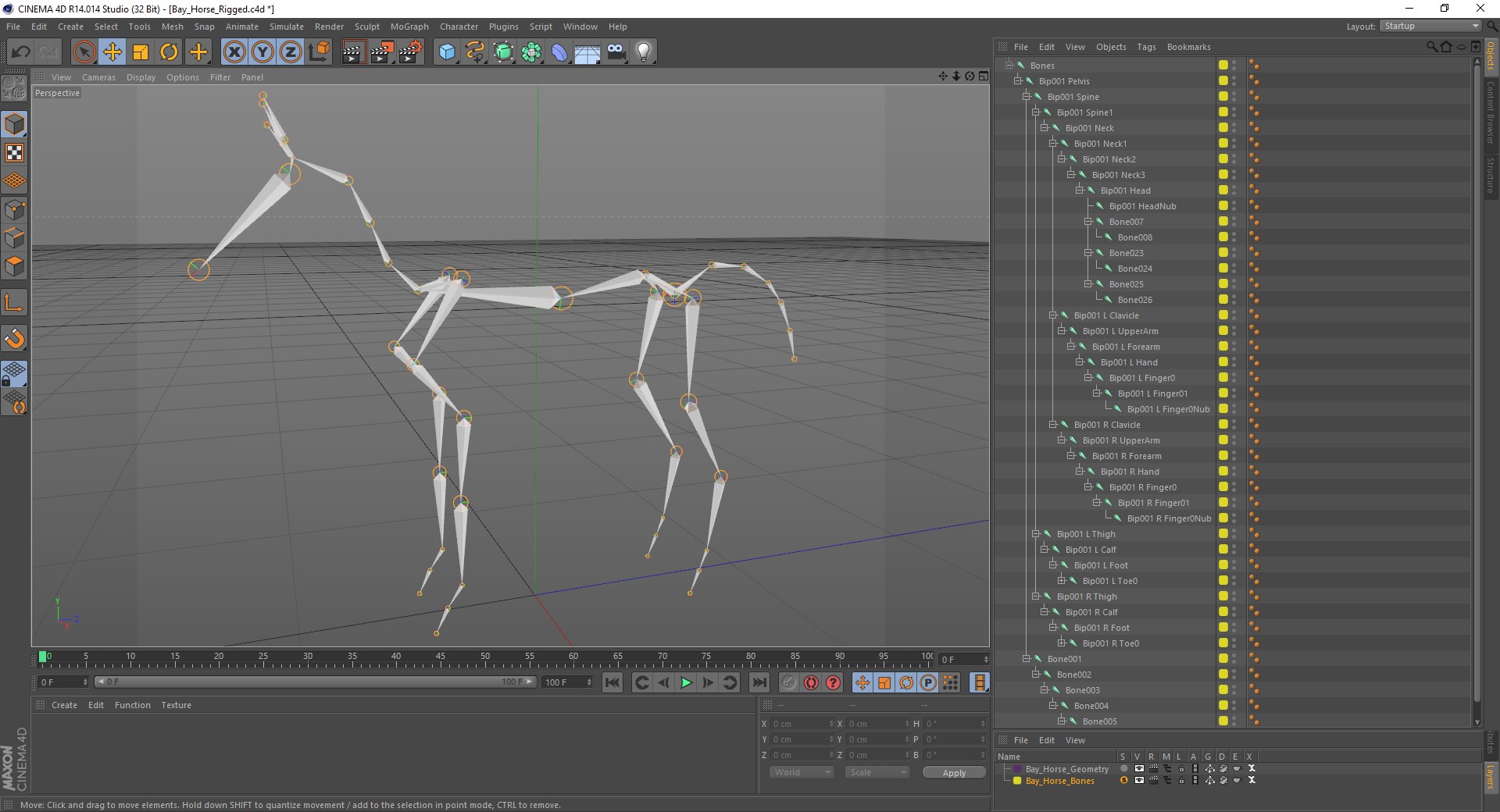 3D Horse Skeleton Rigged Model - TurboSquid 1583167