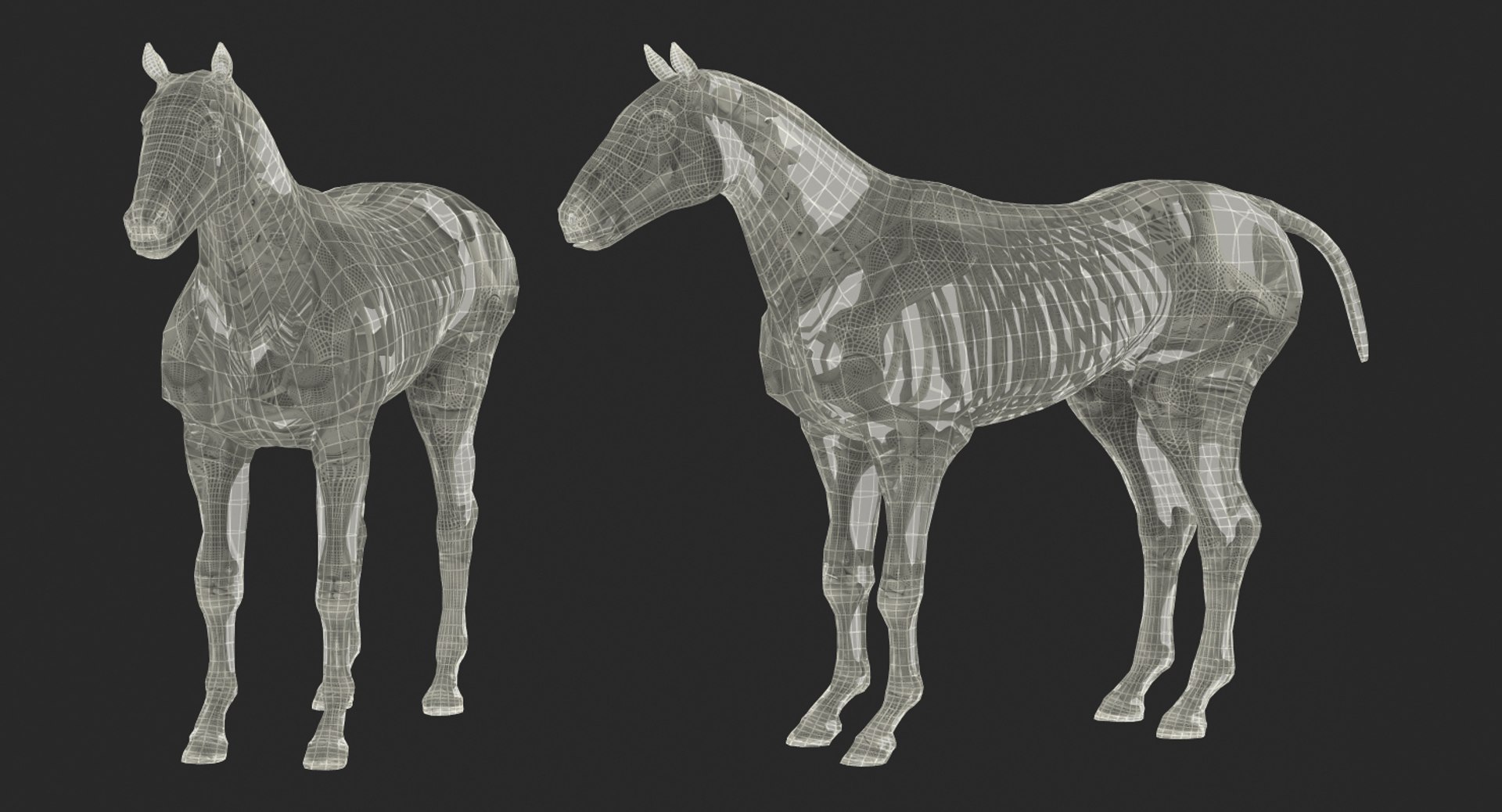3D Horse Skeleton Rigged Model - TurboSquid 1583167