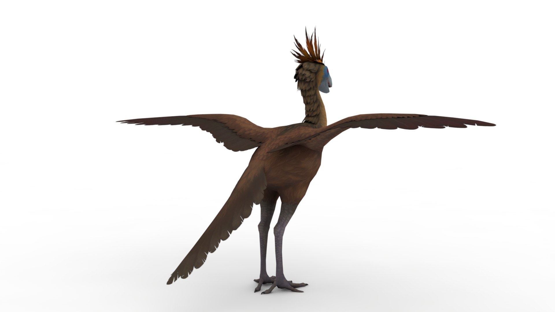 Terror Bird 3D Model - TurboSquid 1952072