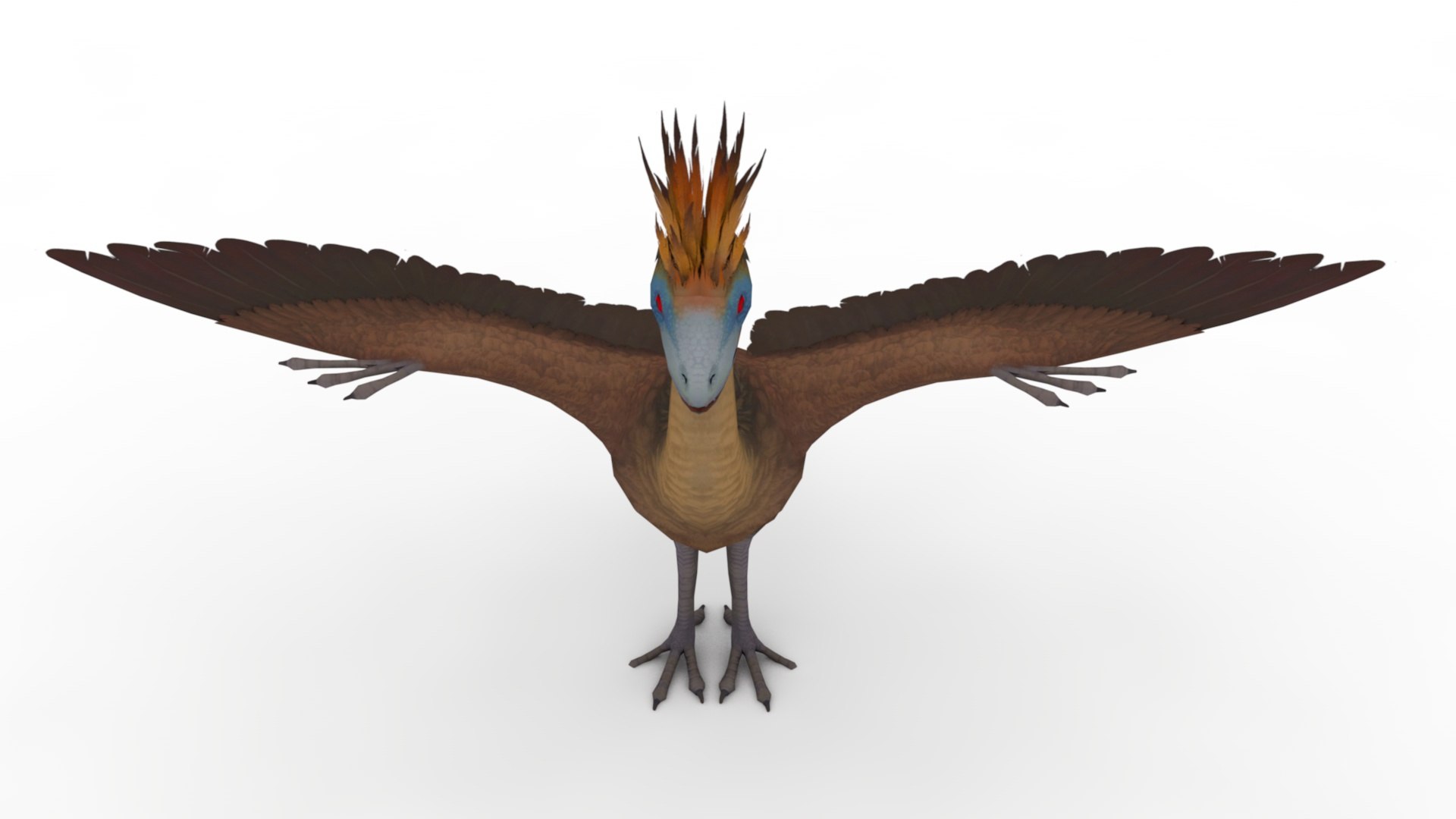 Terror Bird 3D Model - TurboSquid 1952072