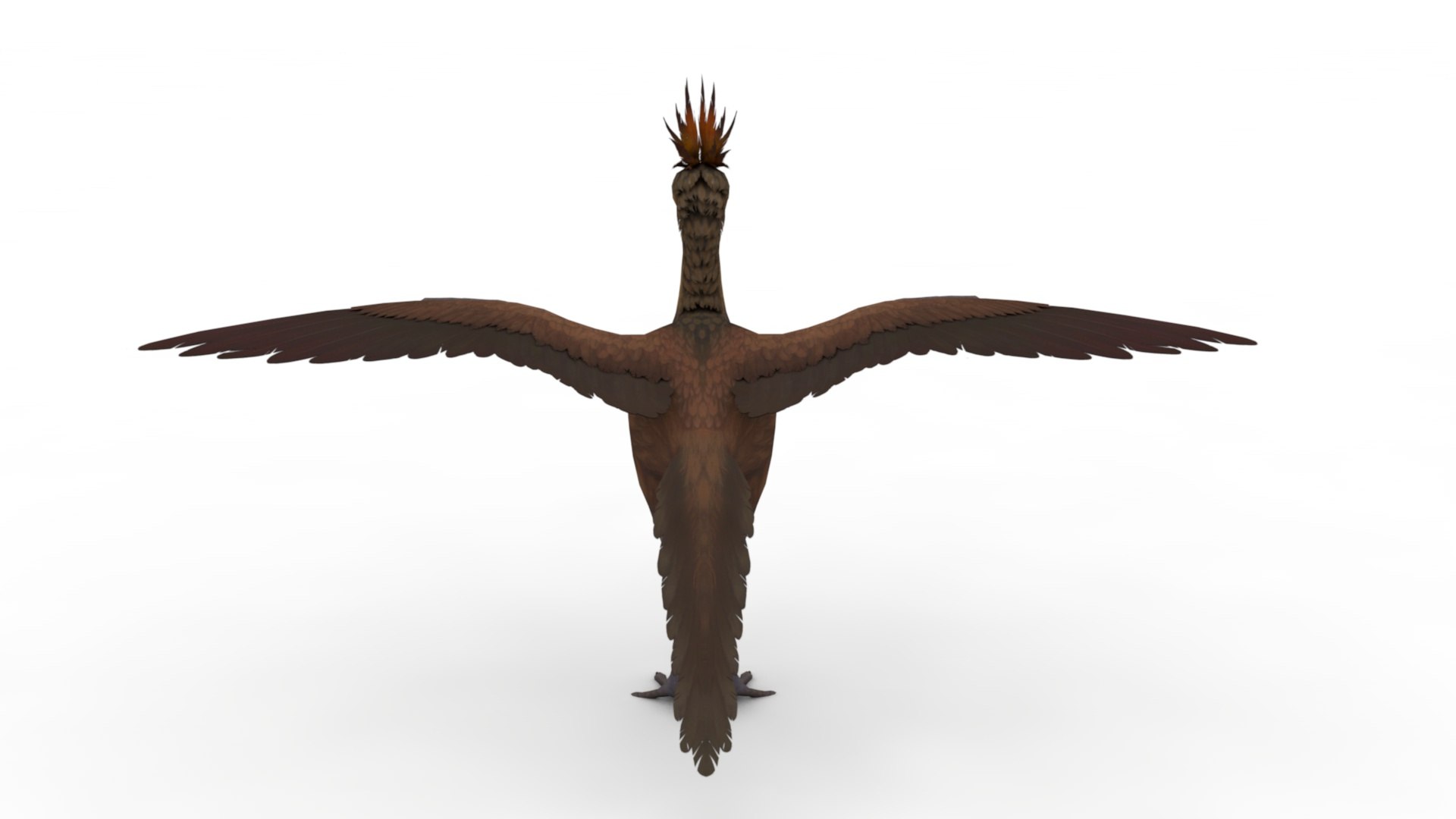 Terror Bird 3D Model - TurboSquid 1952072