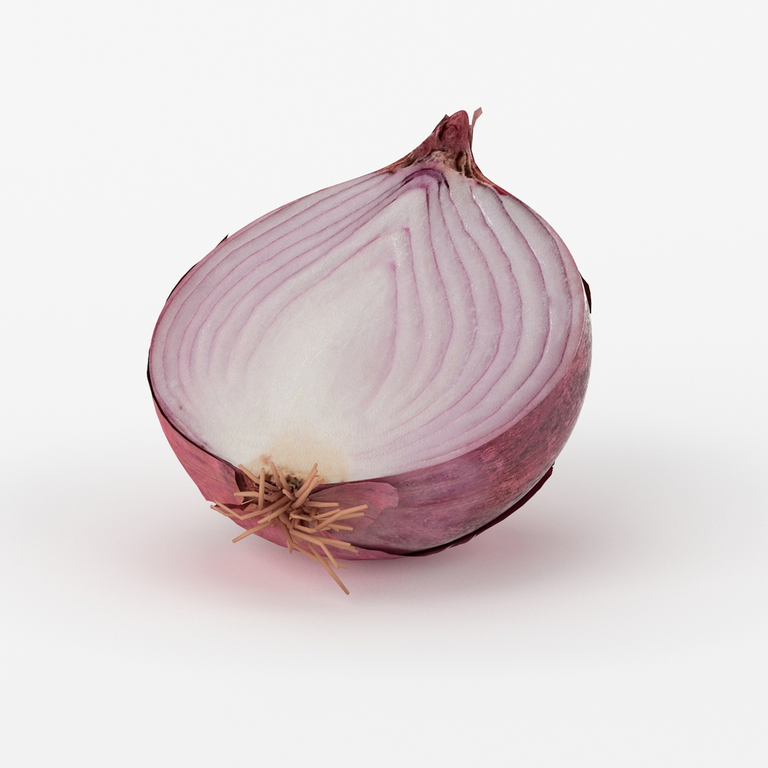 Max Realistic Onion Real