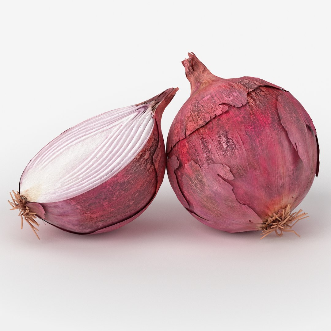 Max Realistic Onion Real