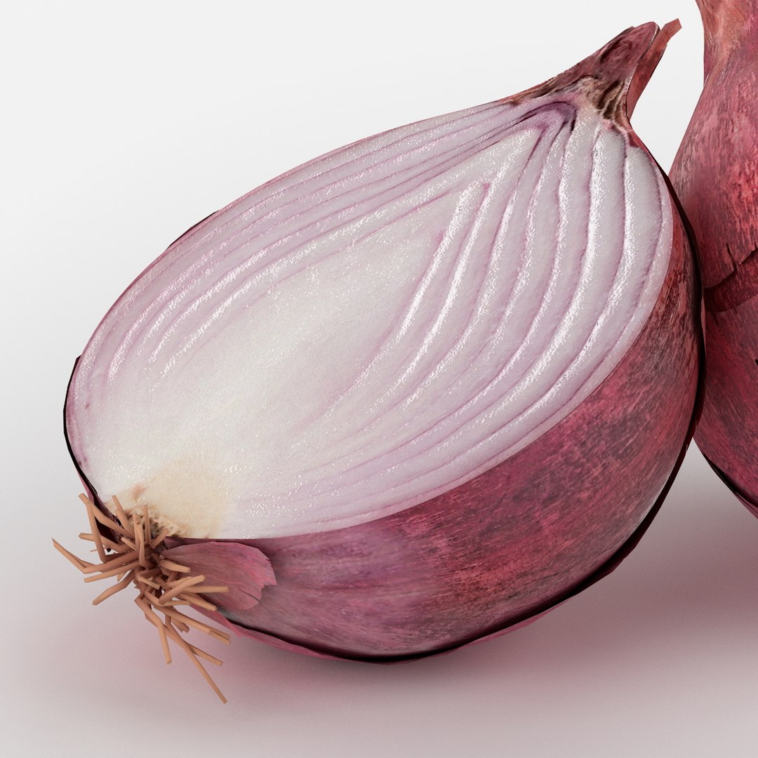 Max Realistic Onion Real