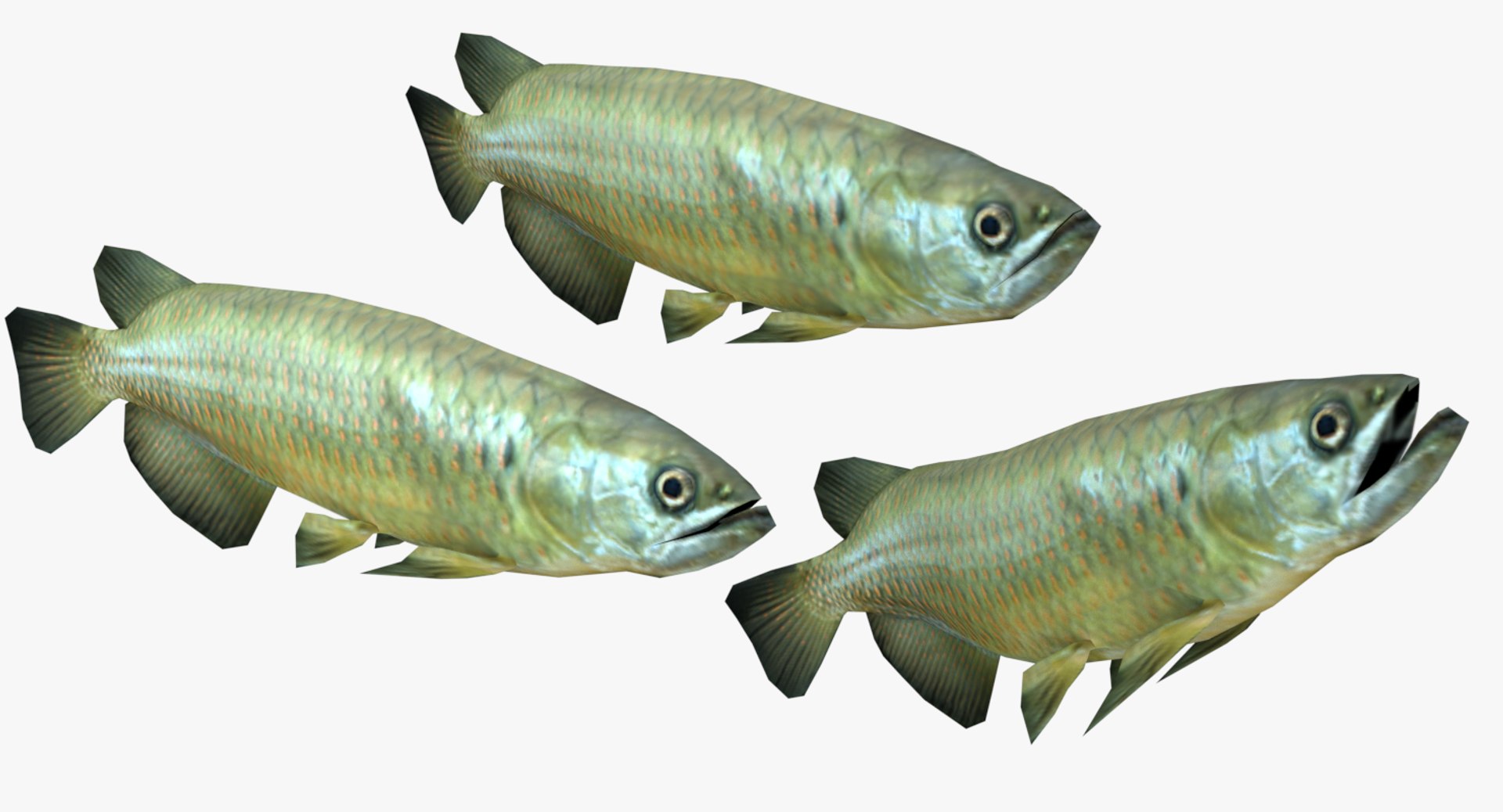 3D Southern Saratoga - TurboSquid 1397981