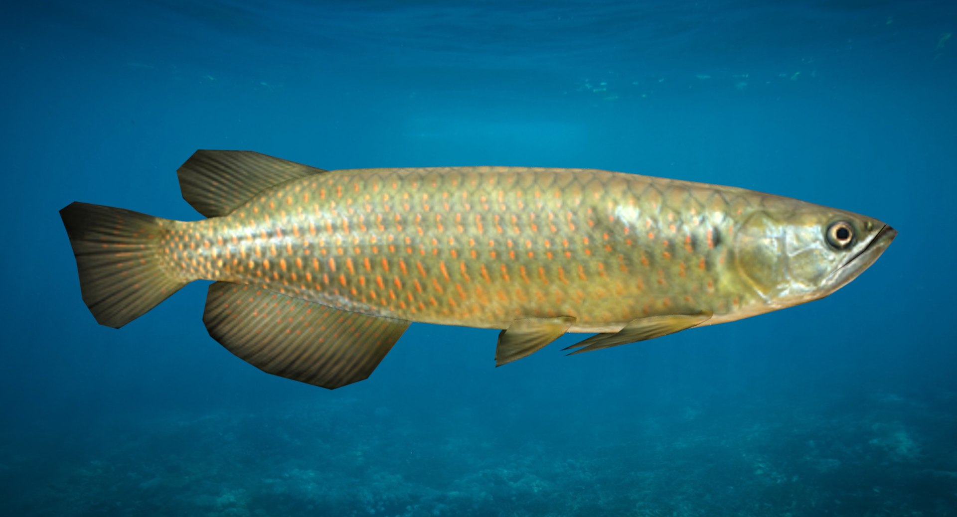 3D Southern Saratoga - TurboSquid 1397981