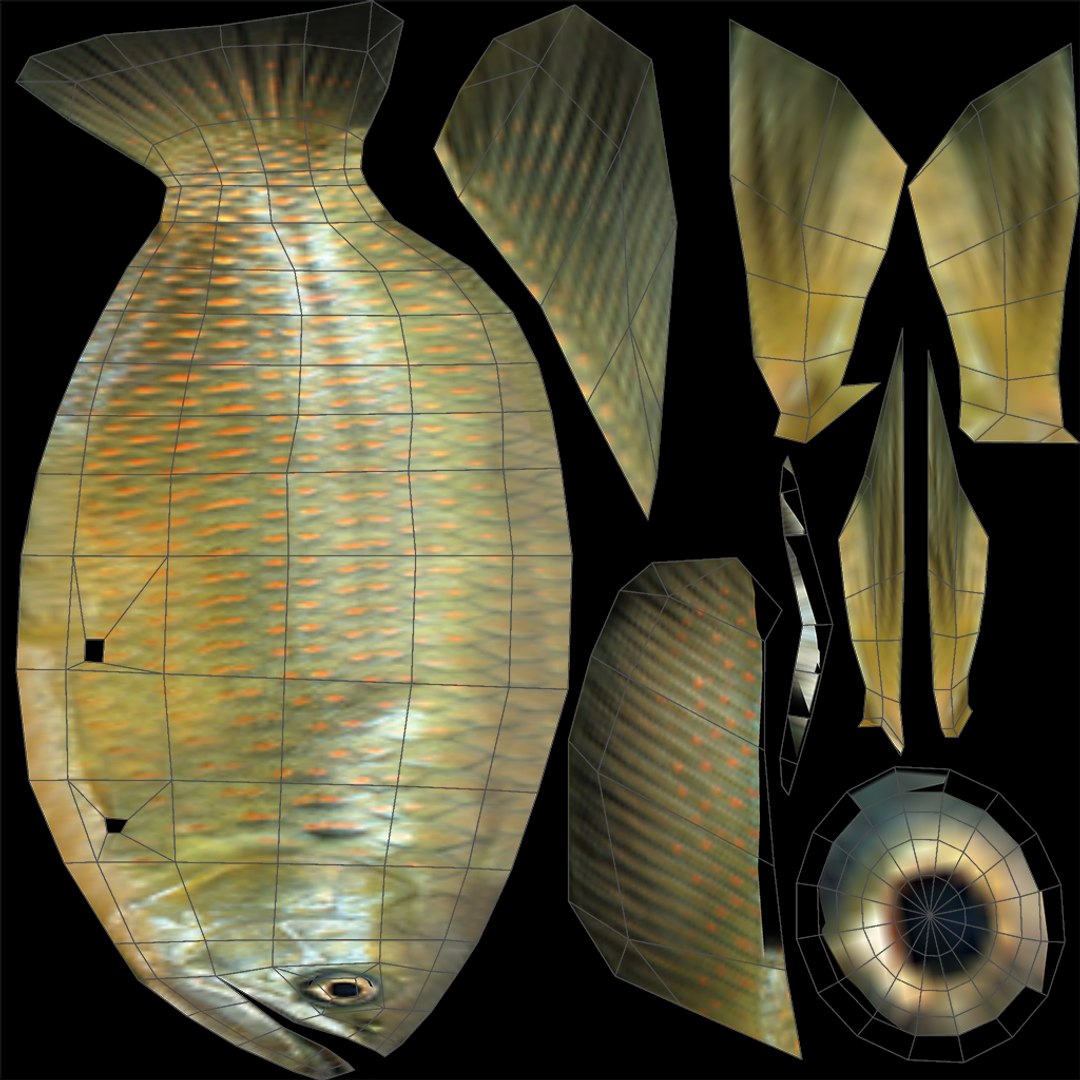 3D Southern Saratoga - TurboSquid 1397981