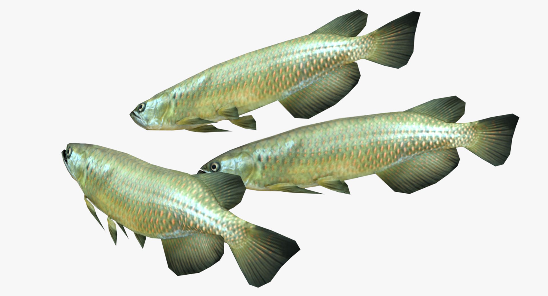 3D Southern Saratoga - TurboSquid 1397981