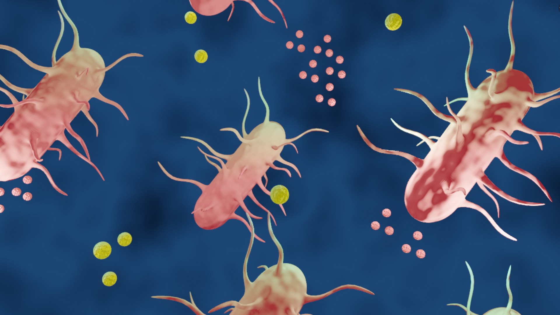 3D Bacteria Model - TurboSquid 1726168