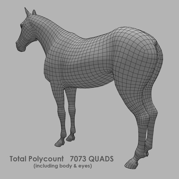3D realistic horse rigged model - TurboSquid 1269035
