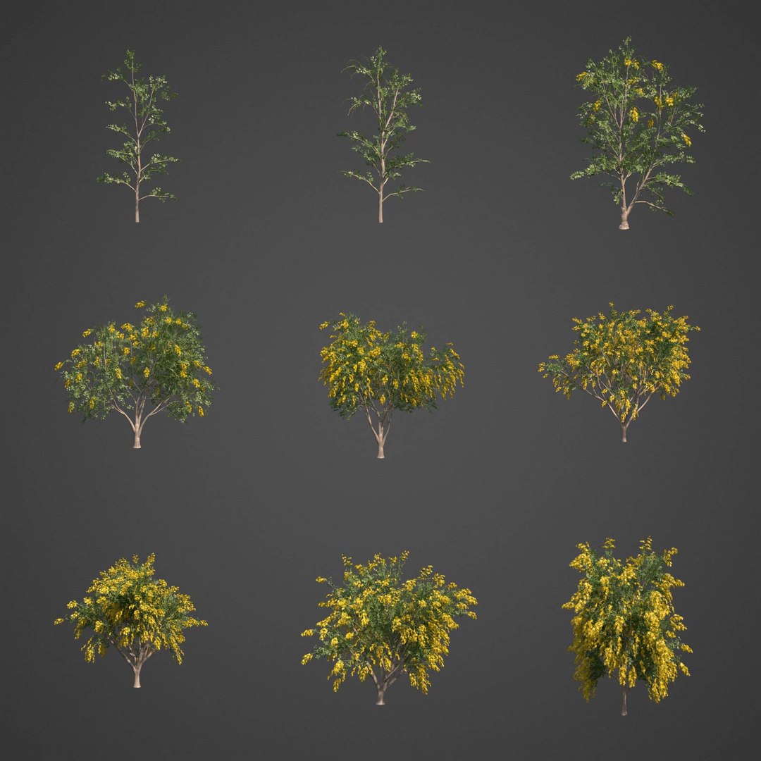 3D Tree Nature Model - TurboSquid 1679655