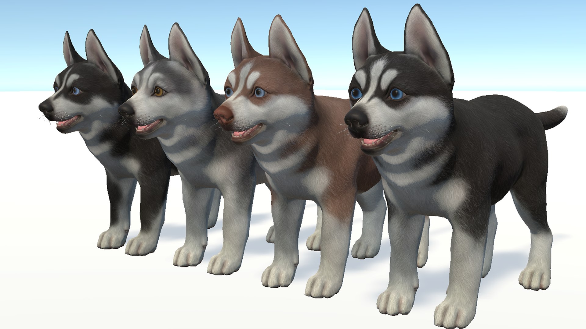 3D Puppy - Husky Model - TurboSquid 2075074